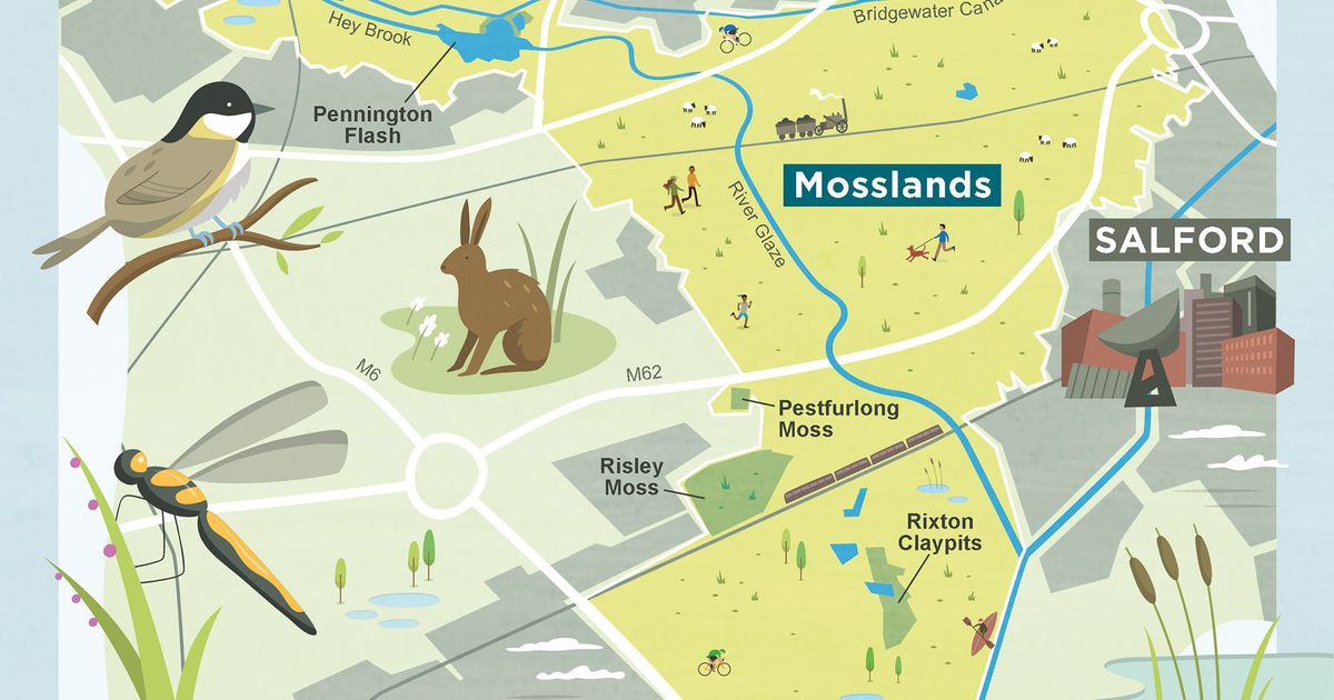 Carbon Landscape Map for the Wildlife Trust | The Dots