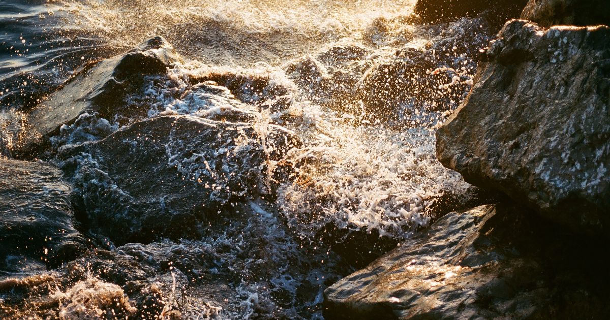 35mm Film Photography | The Dots