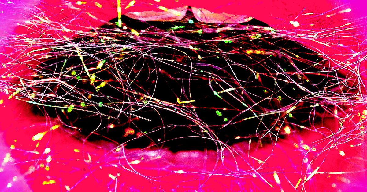 Textures colour Test shoot | The Dots